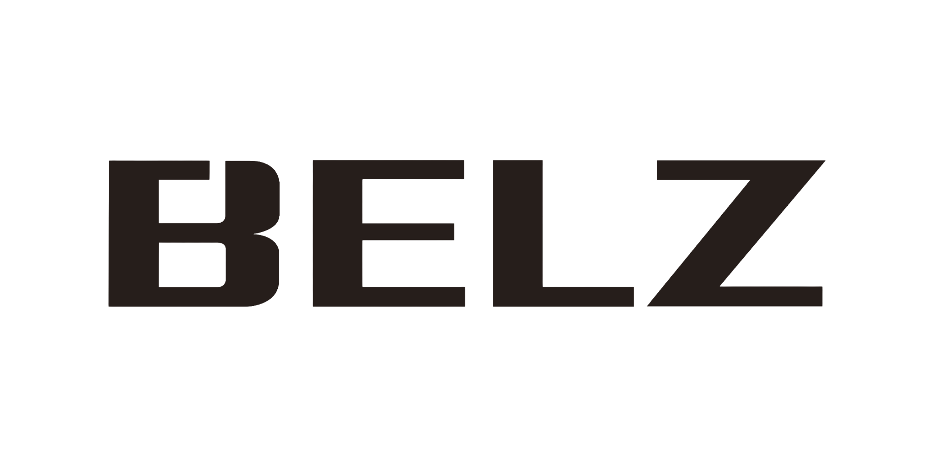 BELZ – Swiss Precision Cutting Tools